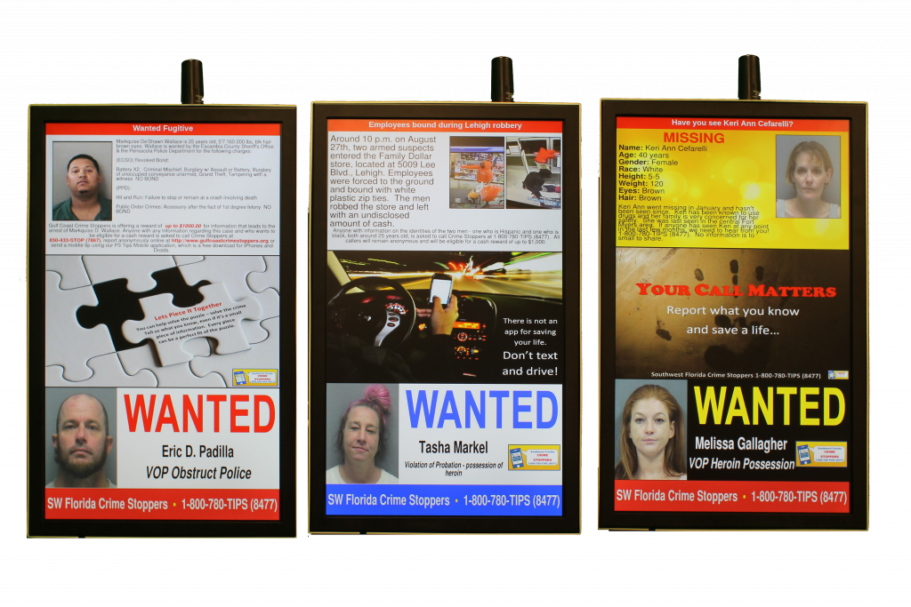 The Community Pro-Tektor Kiosk Information System