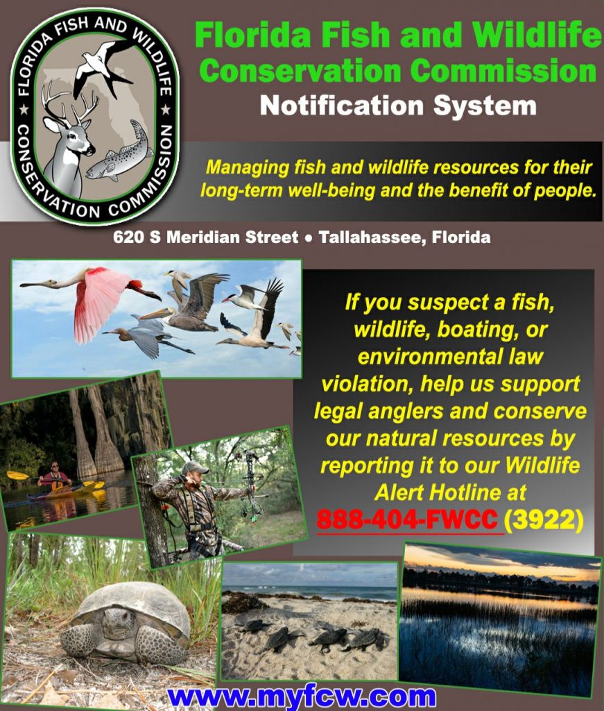 Community Campaigns - The Pro-Tektor®, Inc.