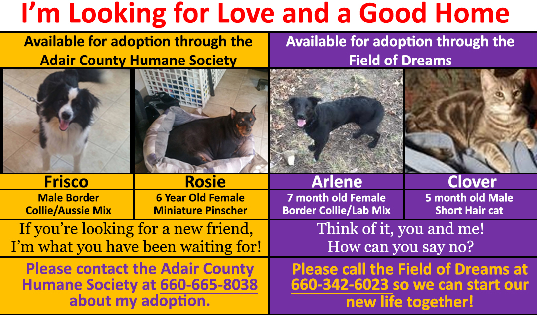 Pet Campaigns - The Pro-Tektor®, Inc.