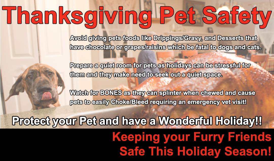 Pet Campaigns - The Pro-Tektor®, Inc.